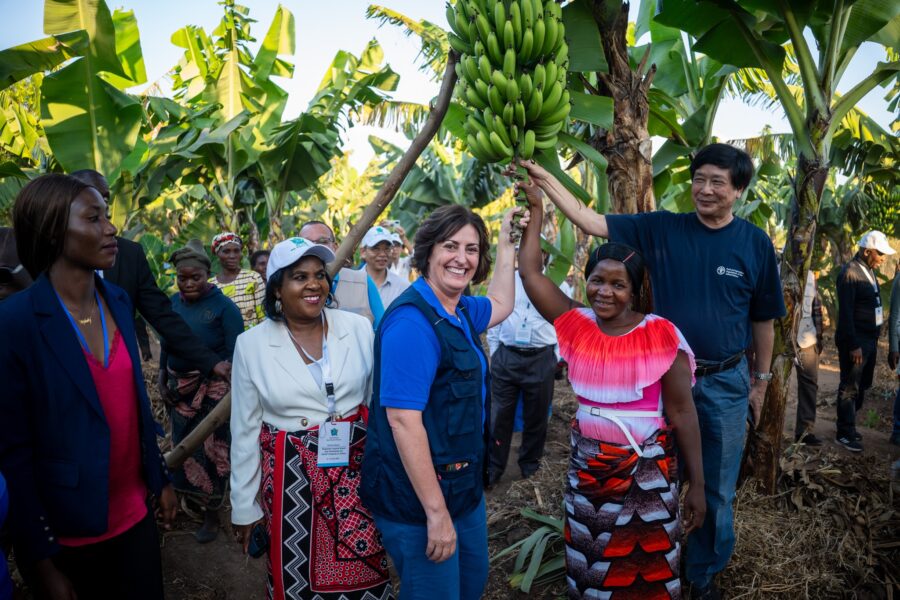FAO Launches OCOP Global Project Under FAO-China South-South ...