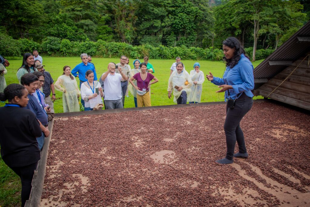 FAO Launches OCOP Global Project Under FAO-China South-South ...